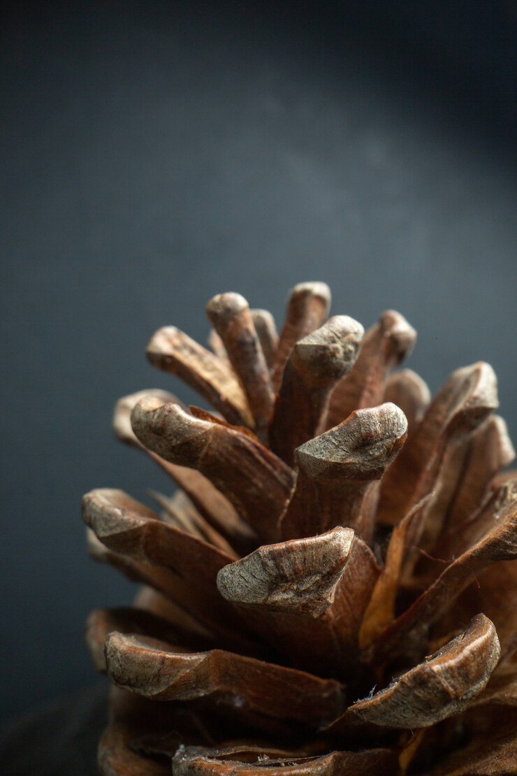 Tongkat Ali and Raw Ingredients for Wellness Transformation