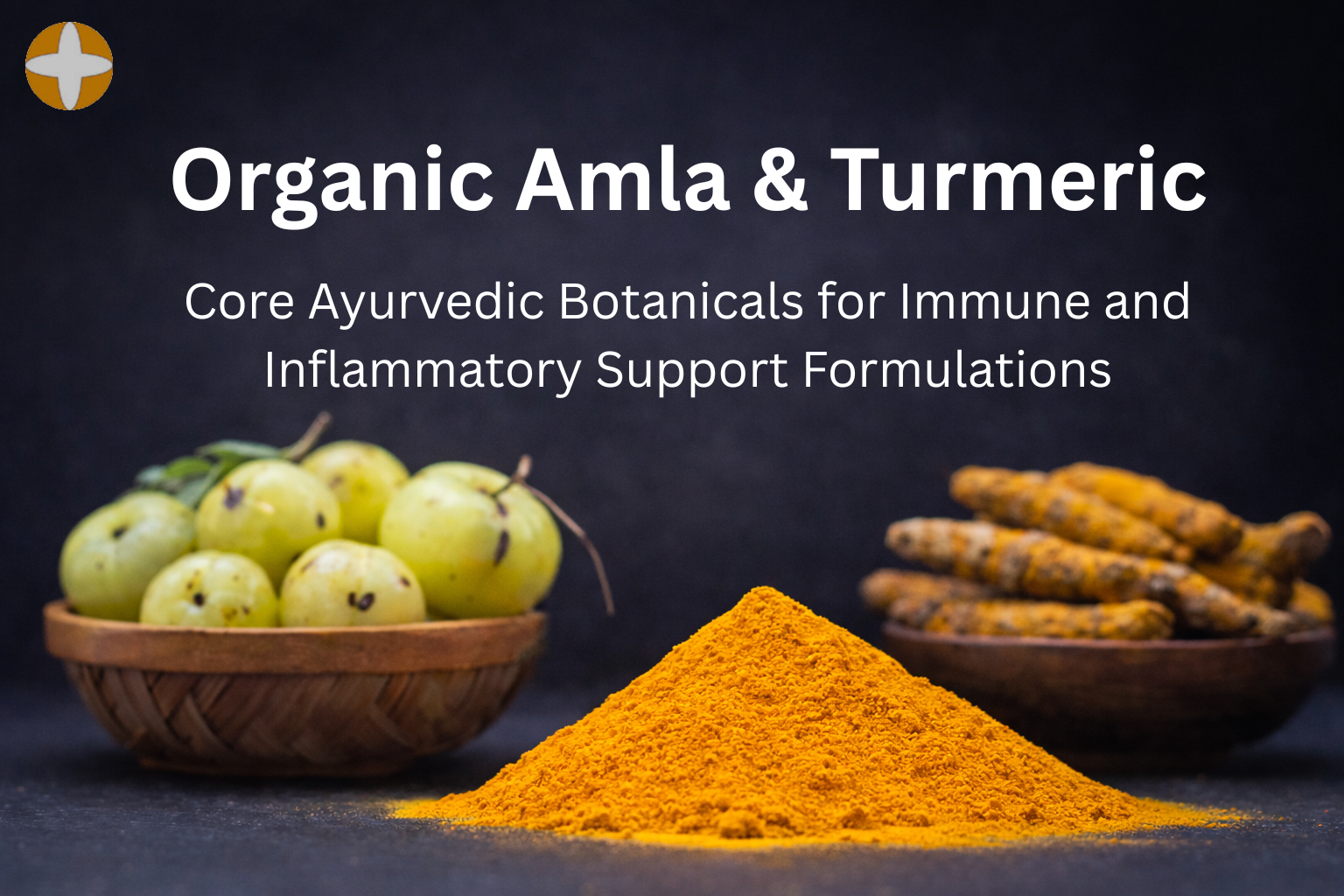 Organic Amla & Turmeric: Core Ayurvedic Botanicals for Immune and ...